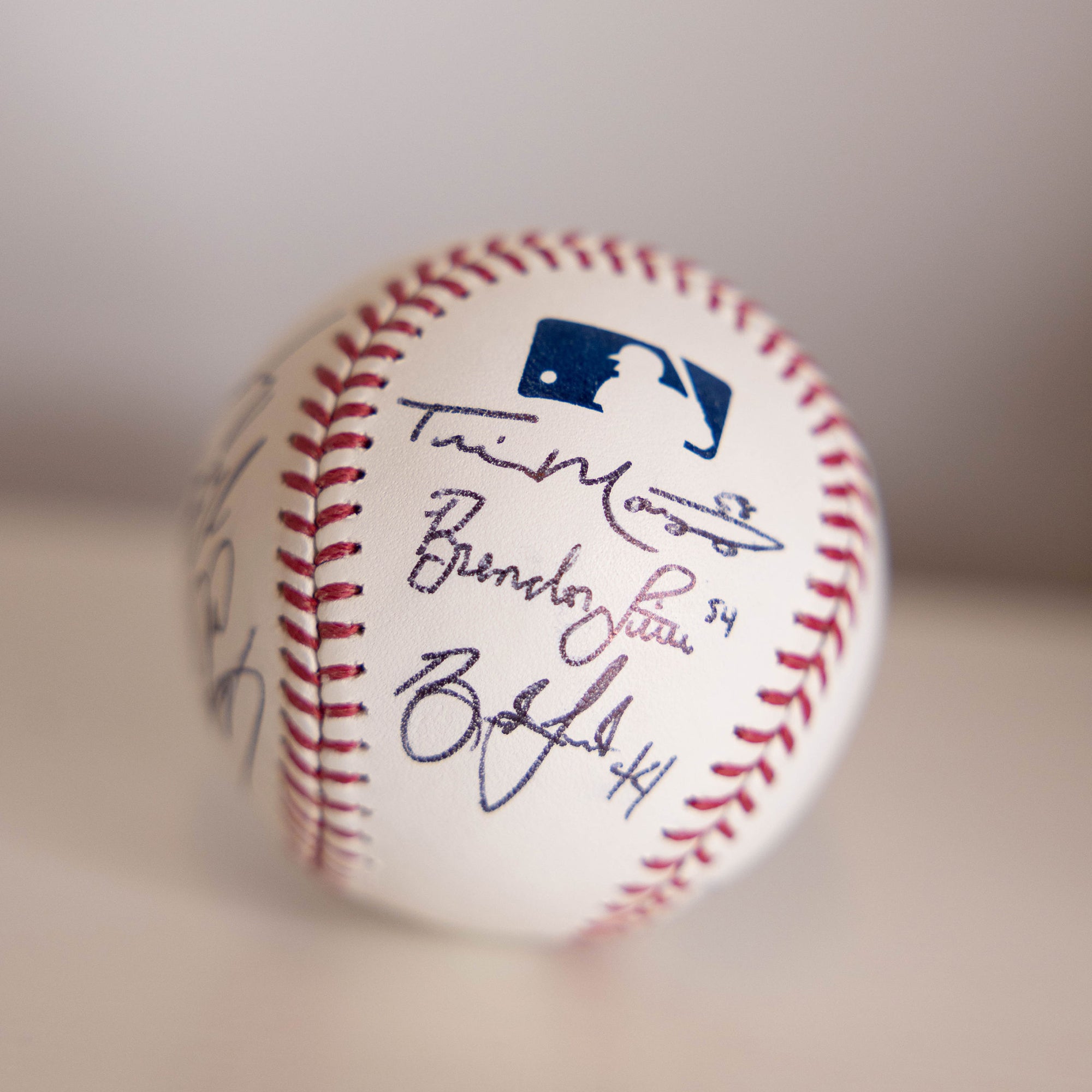 Toronto Blue Jays Bullpen Signed Baseball Auction | Tiny Turnip